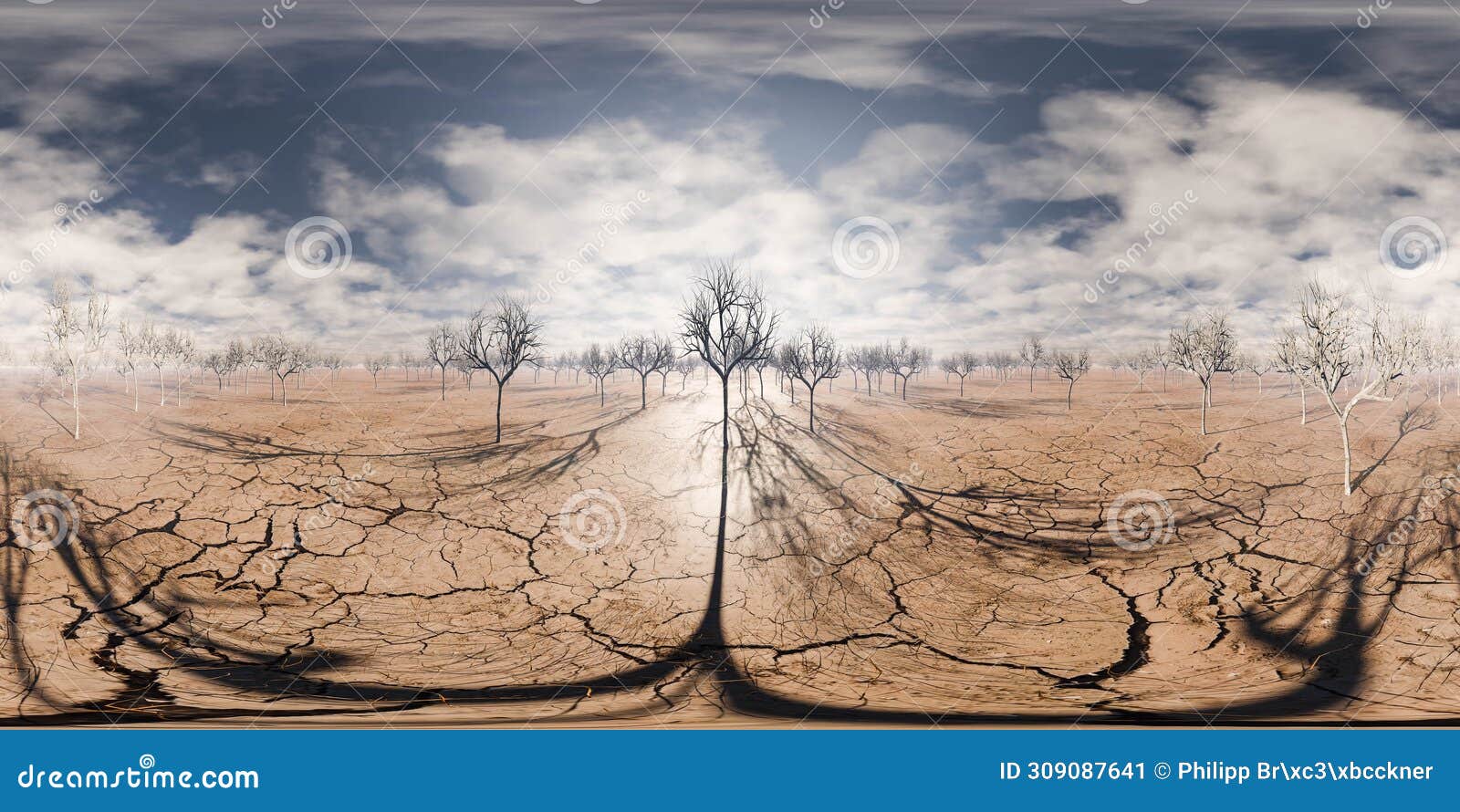 Barren Area with Trees and Clouds 360 Panorama Vr Environment Map Stock ...