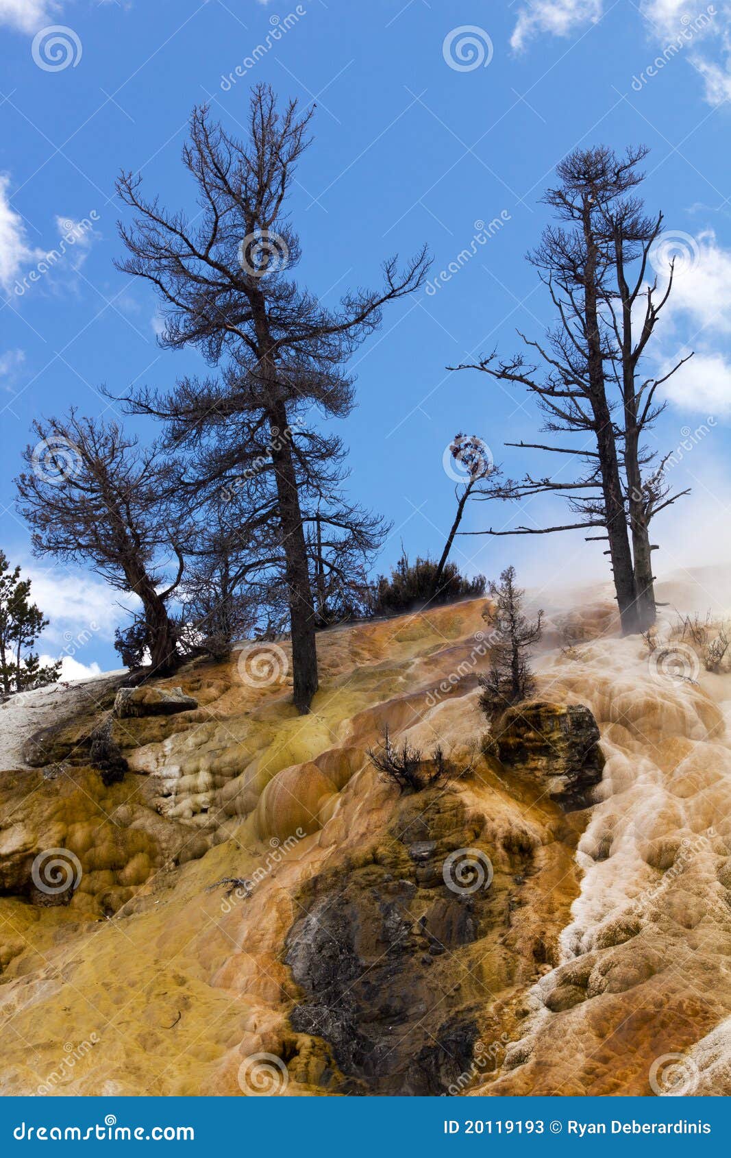 Barren Cliffs of Mammoth Hot Springs Stock Image - Image of mammoth ...
