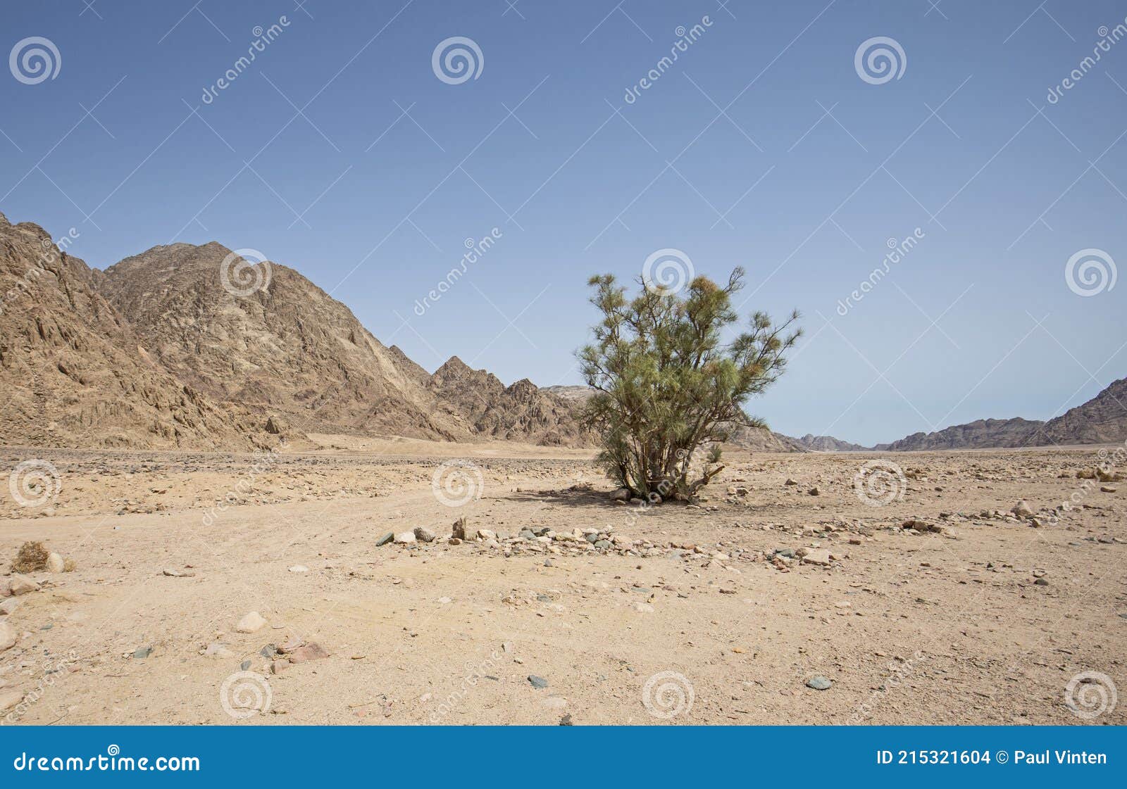 Barren Desert Landscape in Hot Climate Stock Photo - Image of deserted ...