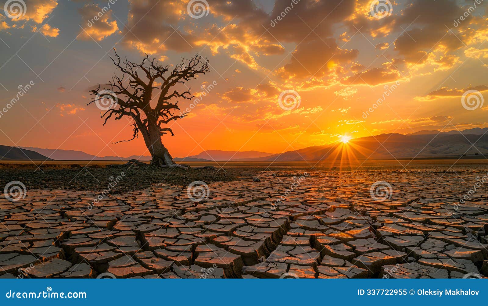 Barren Desert Scene with Cracked Earth, Tree in Sunset Stock ...