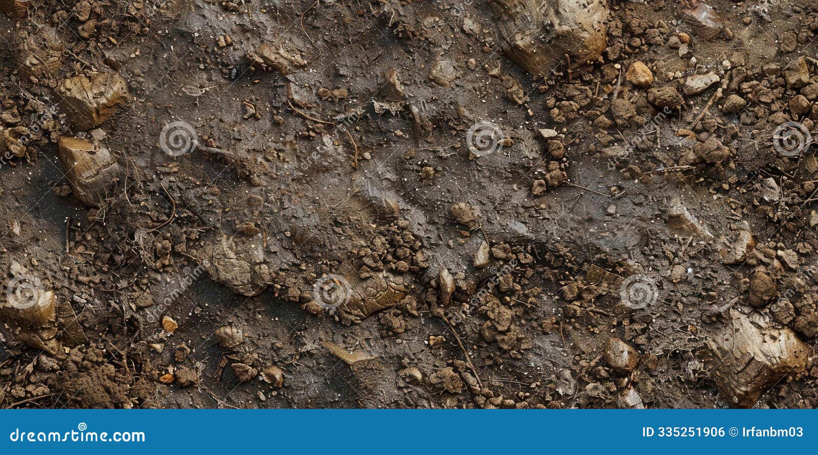 Barren and Desolate Landscape. Poor, Depleted, and Nutrient-poor Soil ...