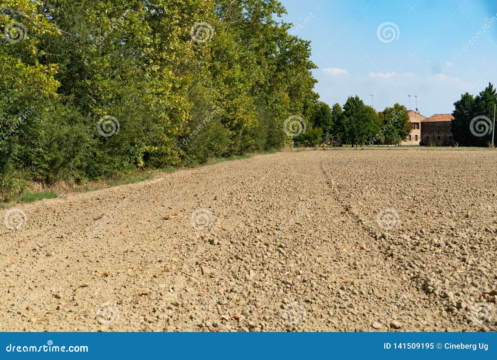 Barren and drought land stock image. Image of agriculture - 141509195