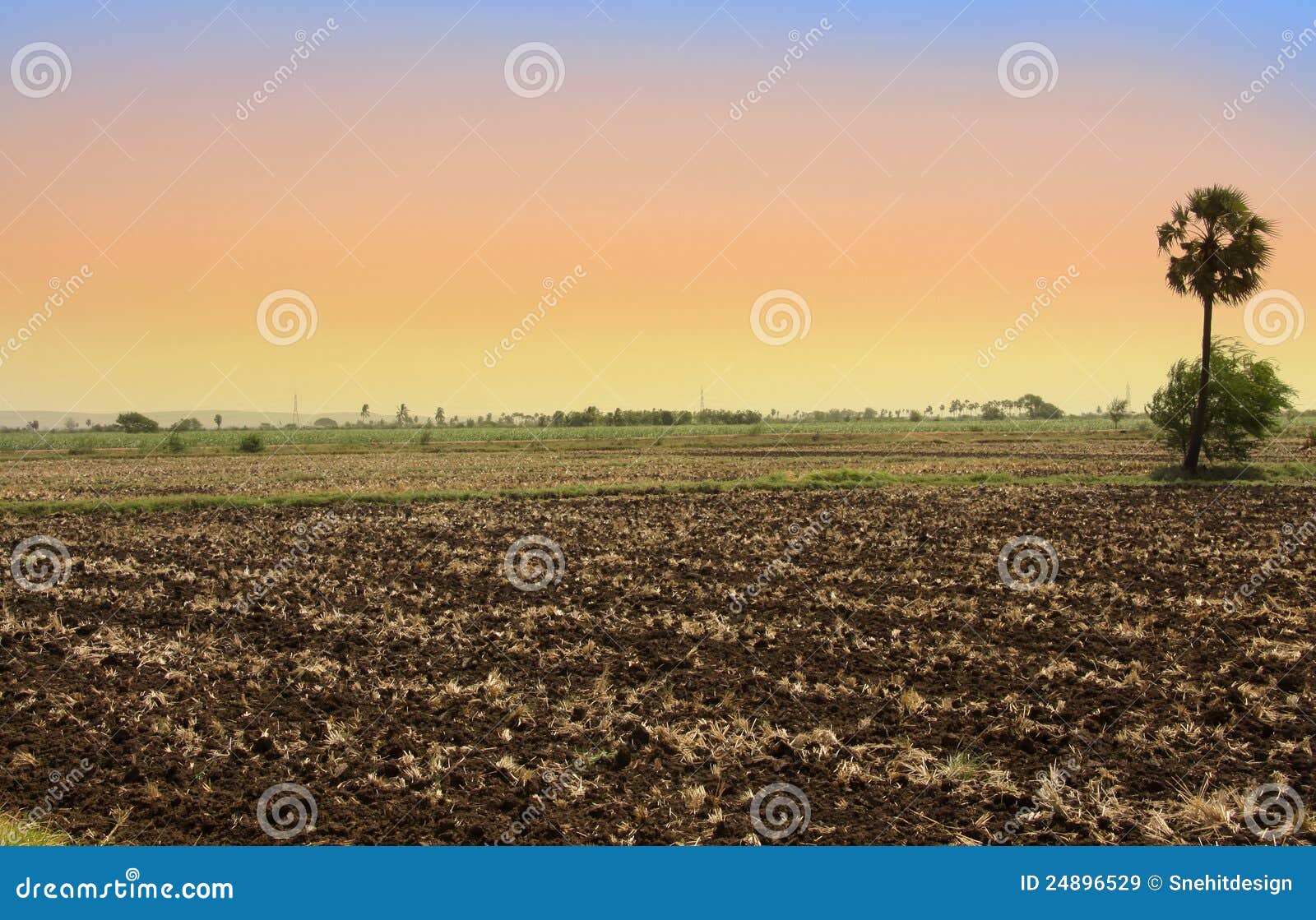 Barren fields in India stock image. Image of desert, india - 24896529