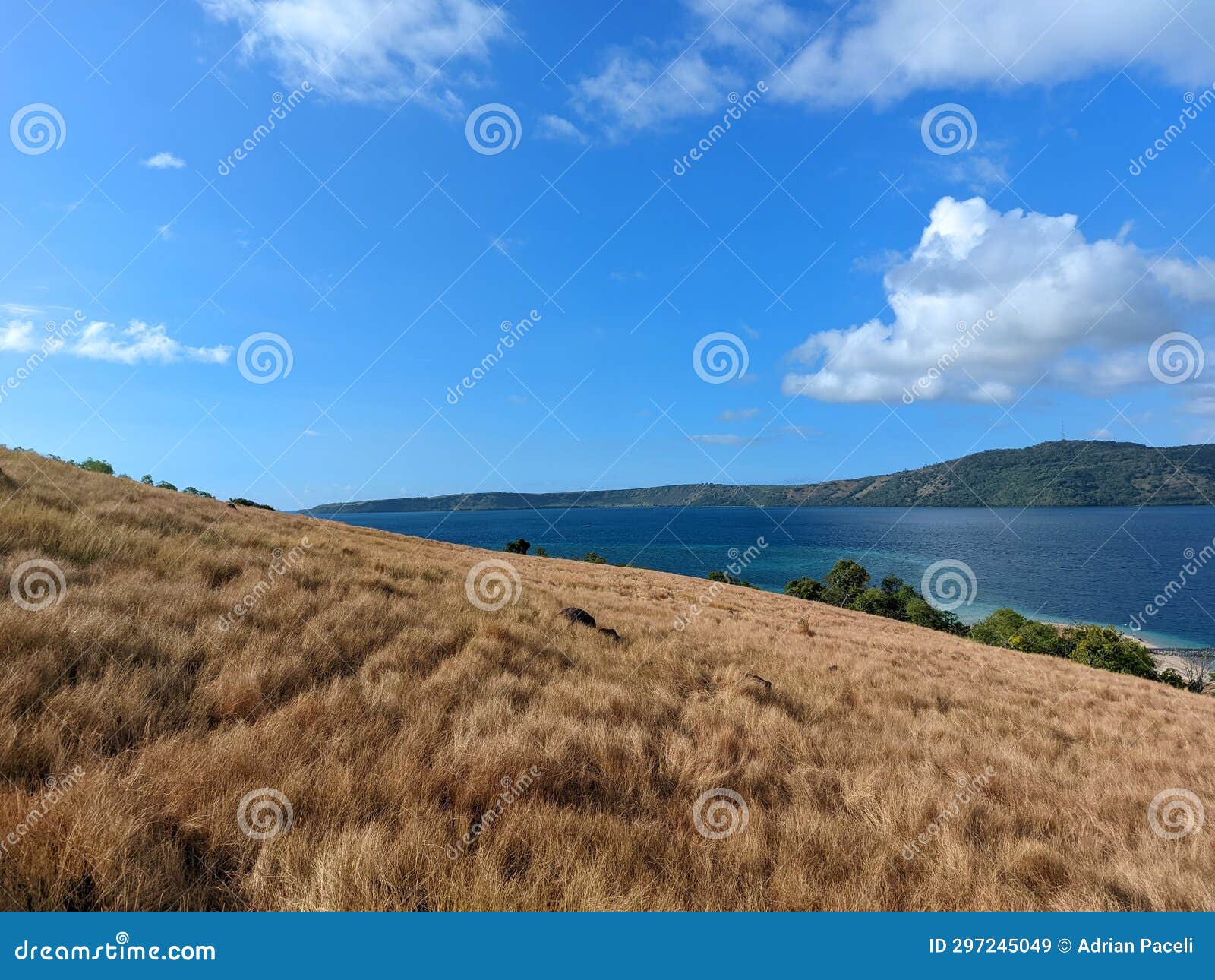 Barren Grasslands on Cliffs by the Coast Stock Image - Image of ...