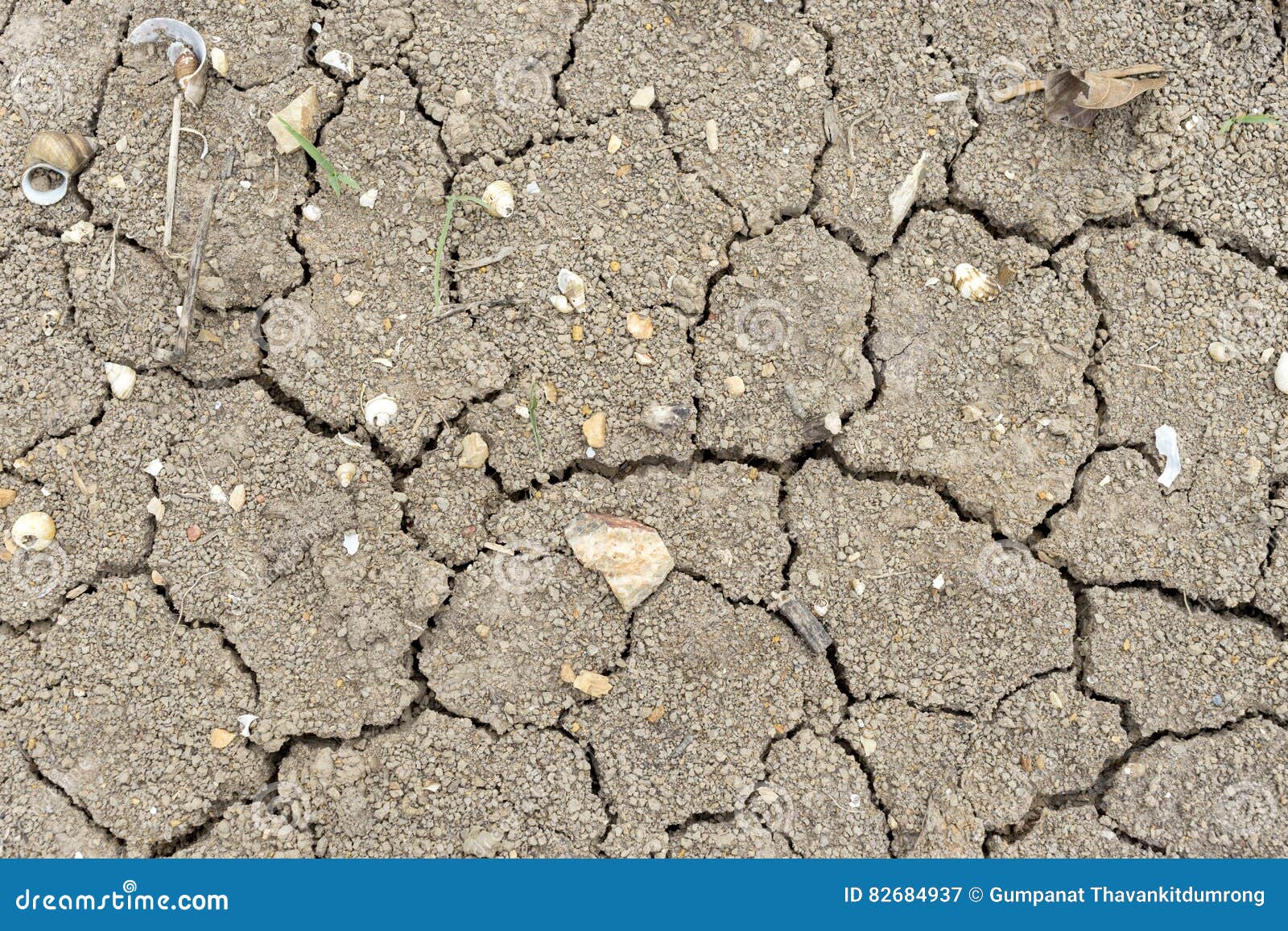 Barren Ground, Broken Soil, Dry Soil in Summer. Stock Image - Image of ...