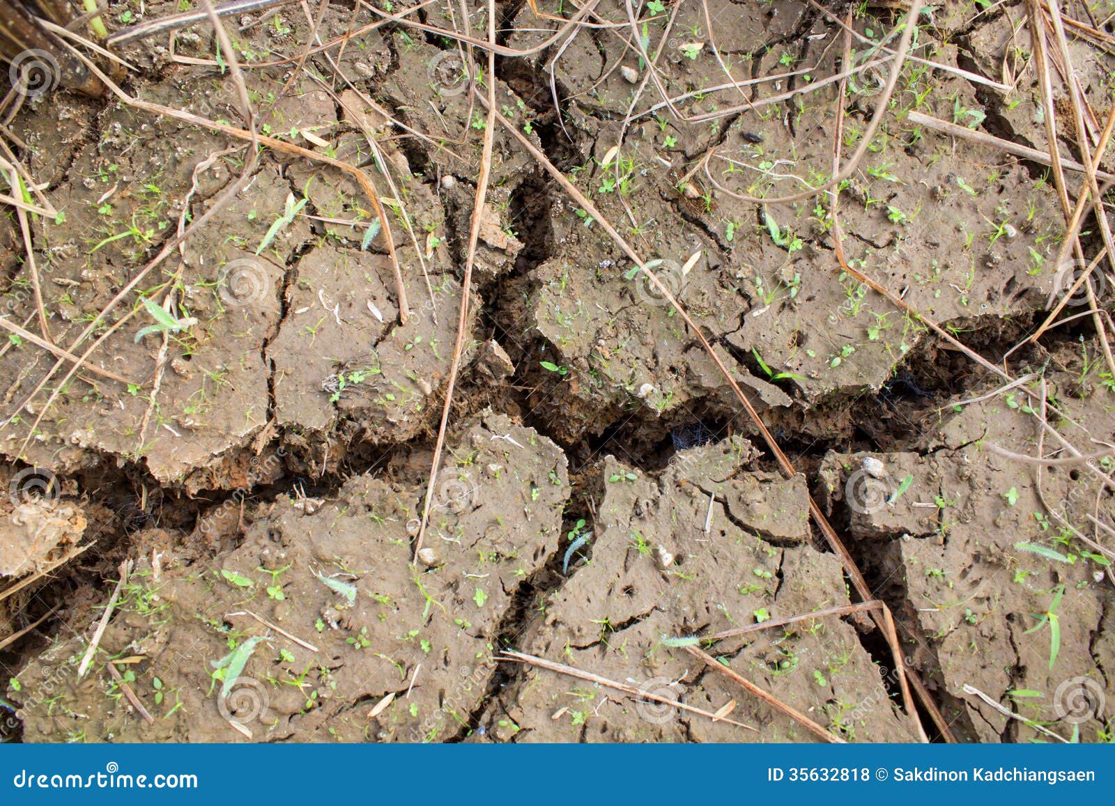 Barren ground stock photo. Image of ground, arid, dried - 35632818
