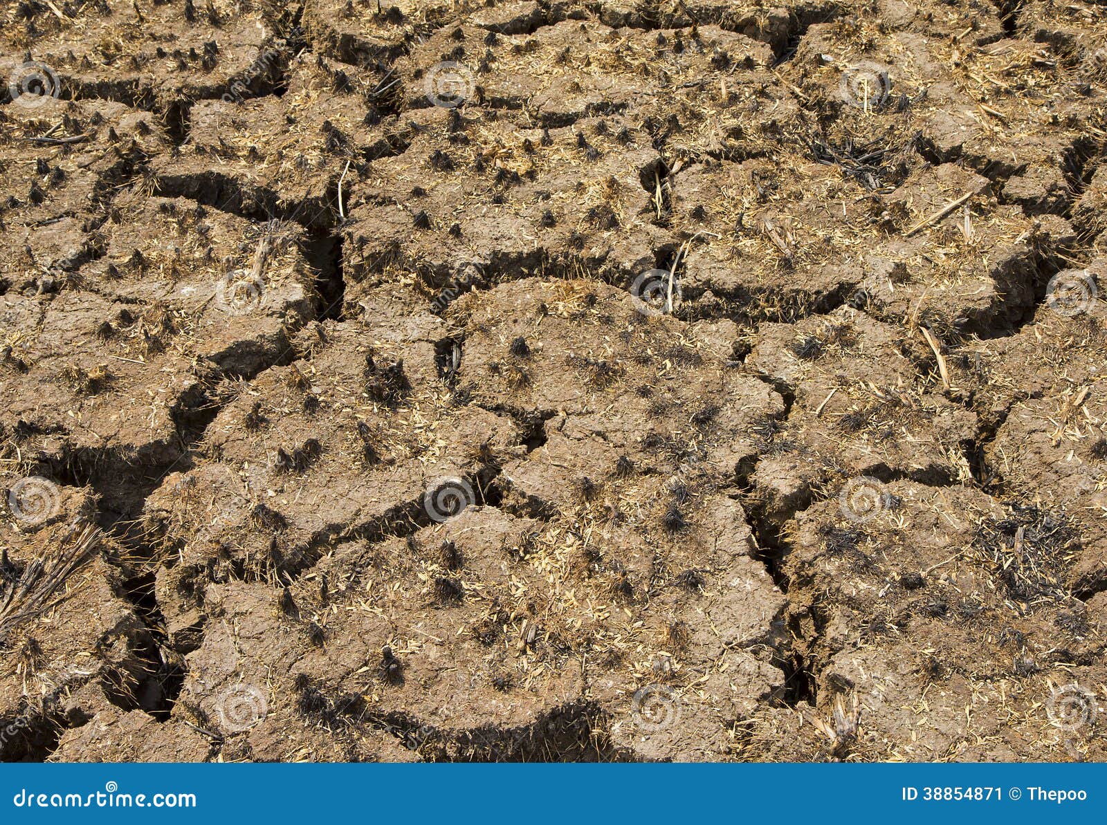 Barren ground stock image. Image of dirt, texture, pattern - 38854871