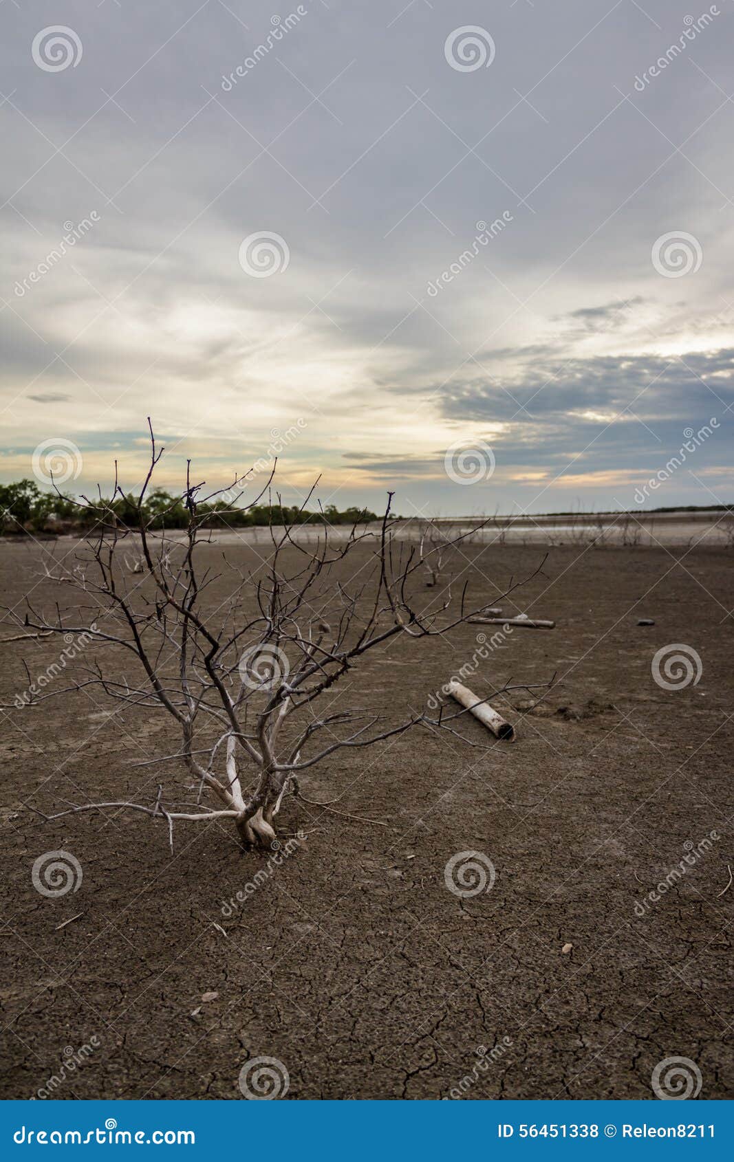 Barren ground sunset stock photo. Image of dying, moody - 56451338