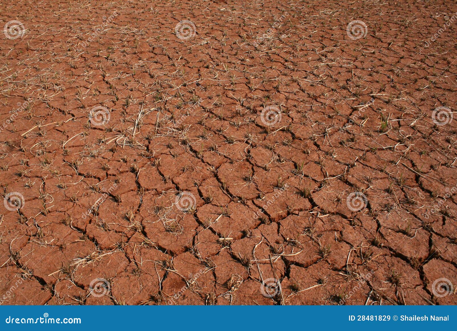 Barren land stock image. Image of cracks, clear, nature - 28481829