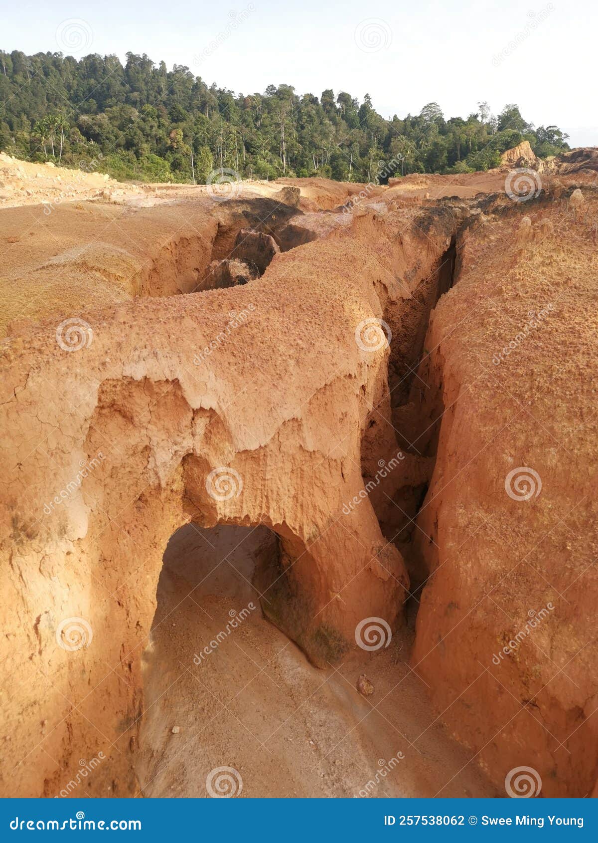 Barren Land Due To Erosion after Deforestation Stock Photo - Image of ...