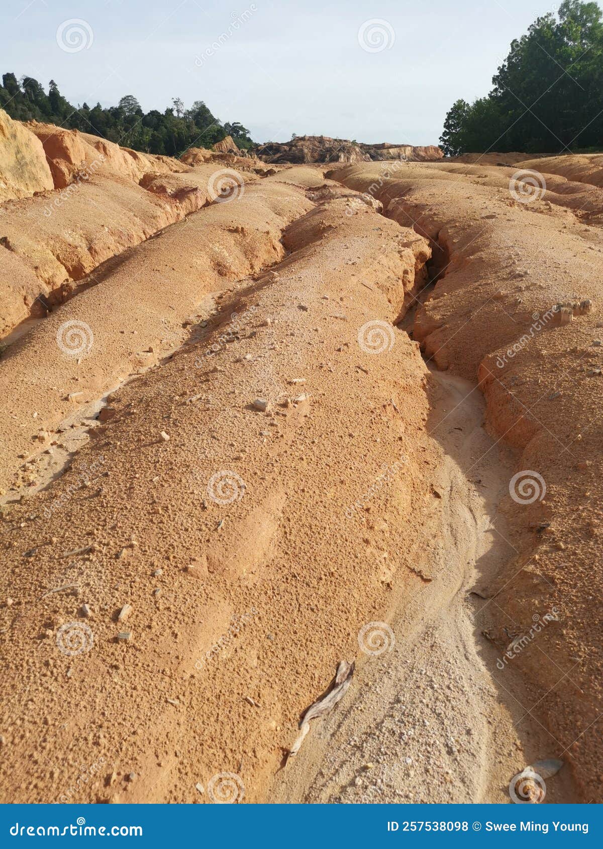 Barren Land Due To Erosion after Deforestation Stock Photo - Image of ...