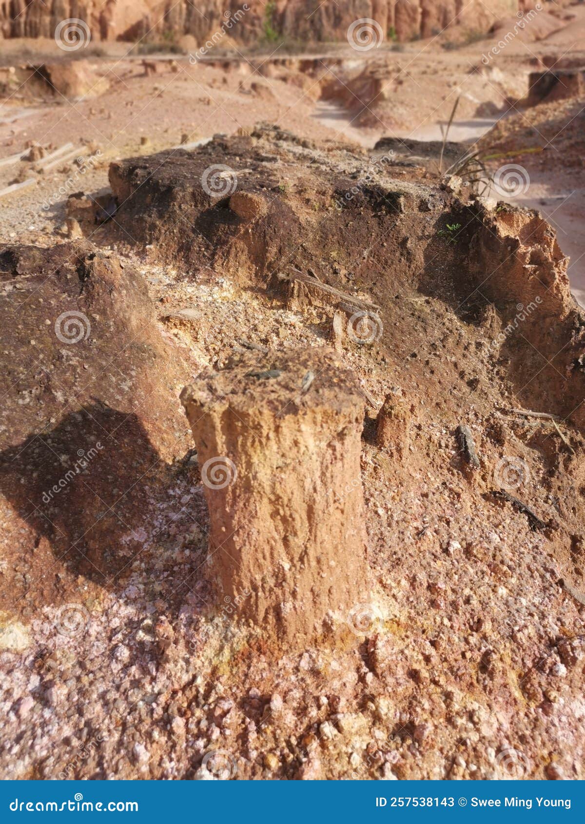 Barren Land Due To Erosion after Deforestation Stock Image - Image of ...
