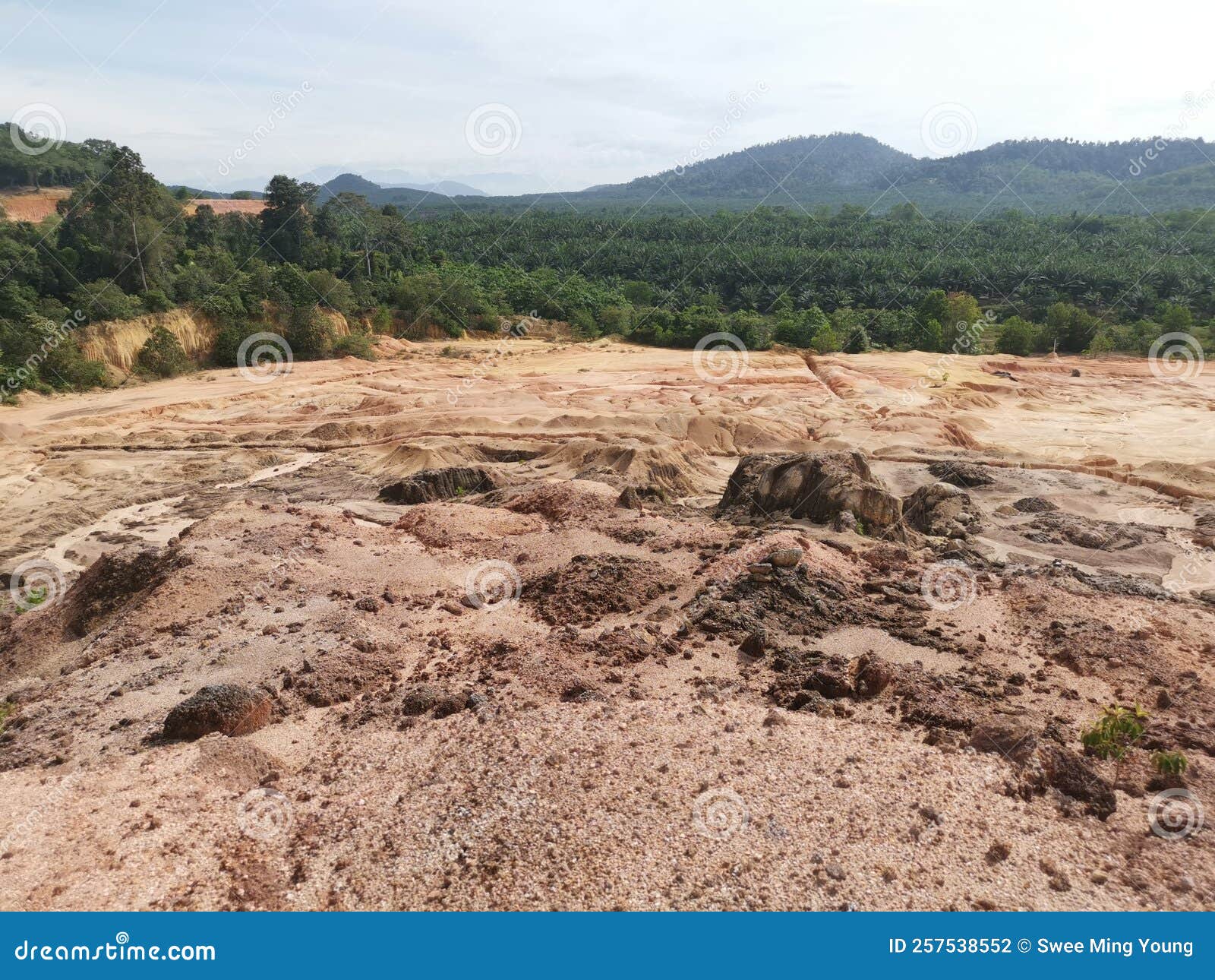 Barren Land Due To Erosion after Deforestation Stock Photo - Image of ...