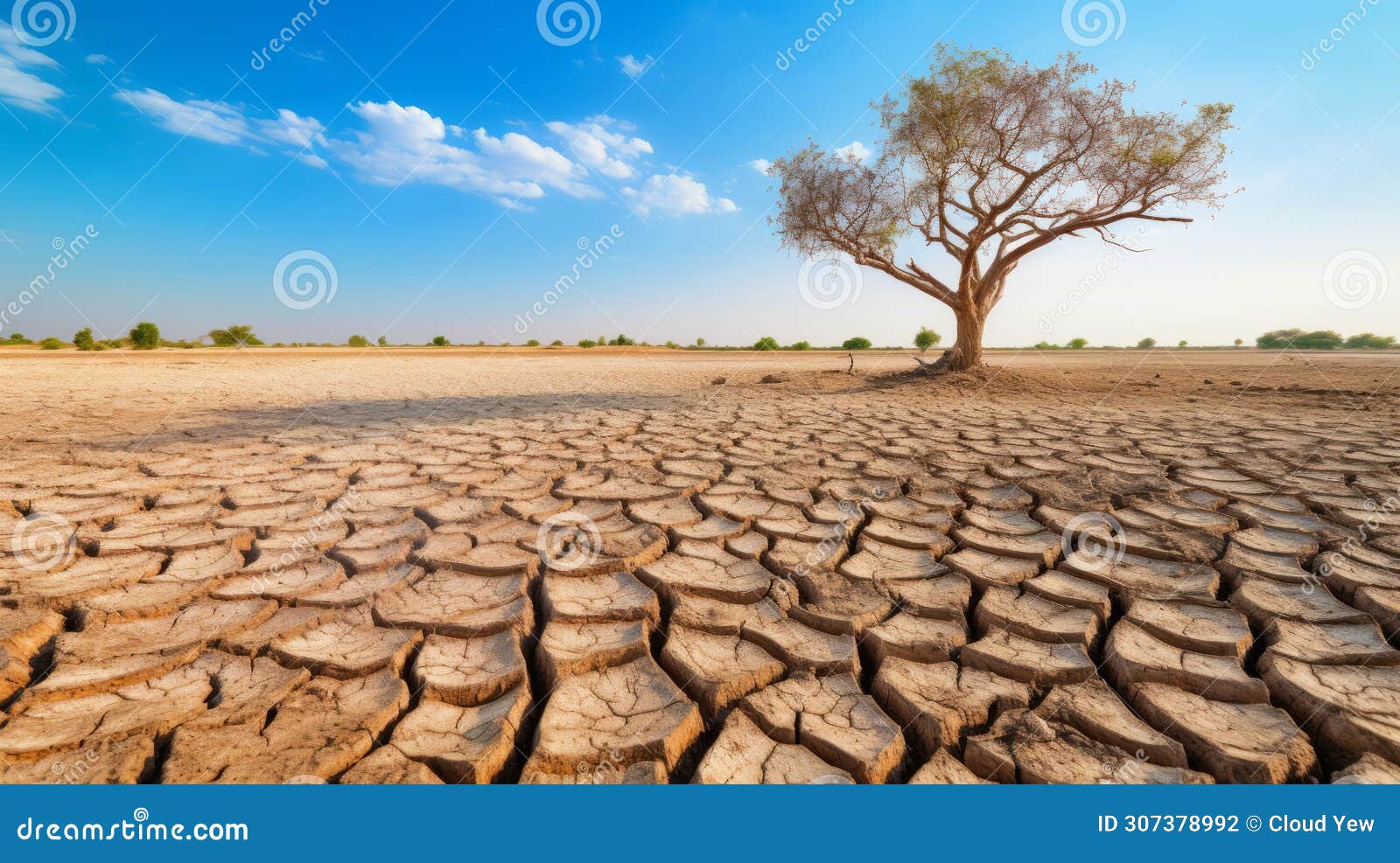 Barren Land Suffering from the Effects of Soil Pollution Stock Photo ...