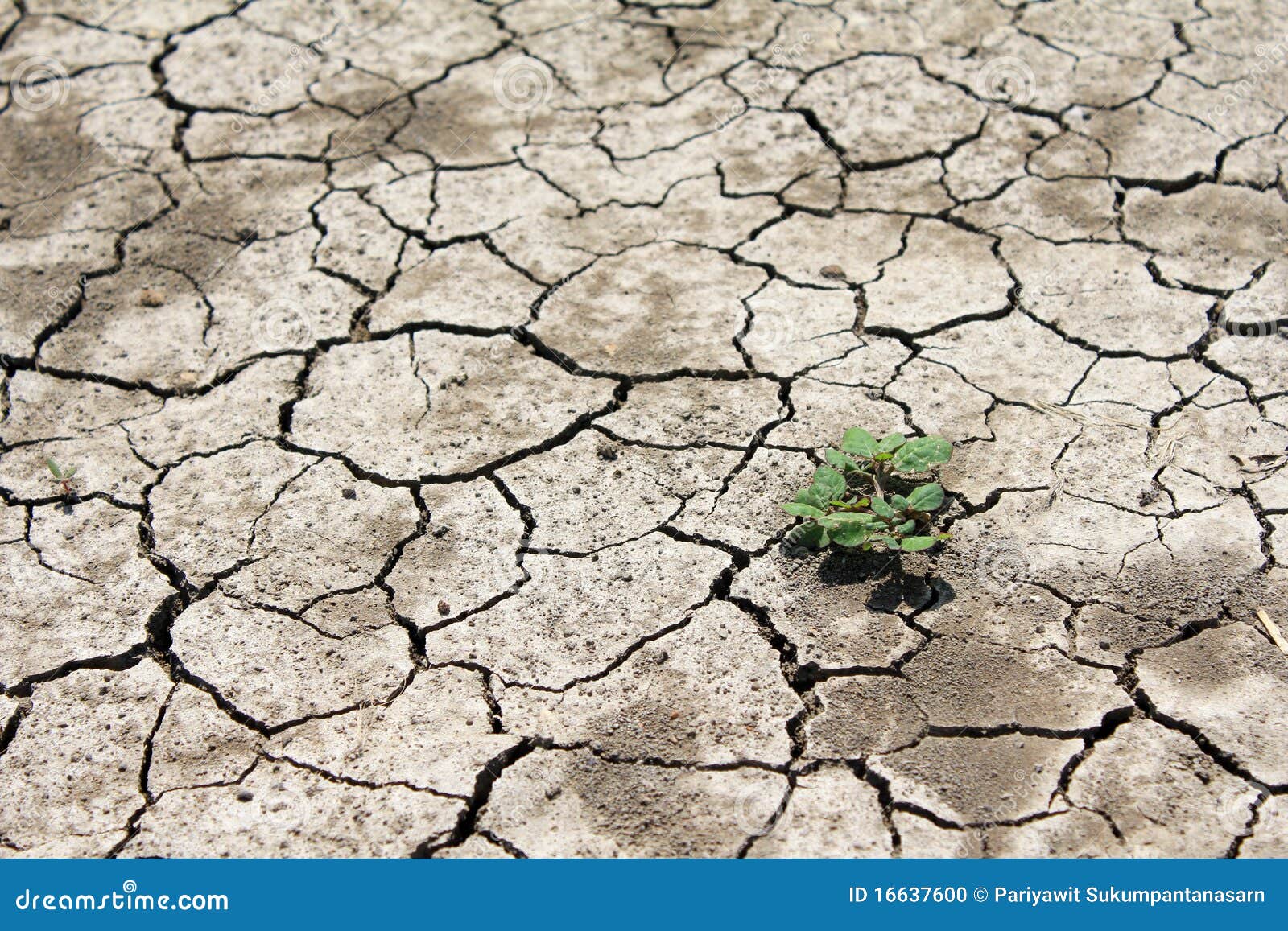 Barren land at summer stock photo. Image of geology, crack - 16637600