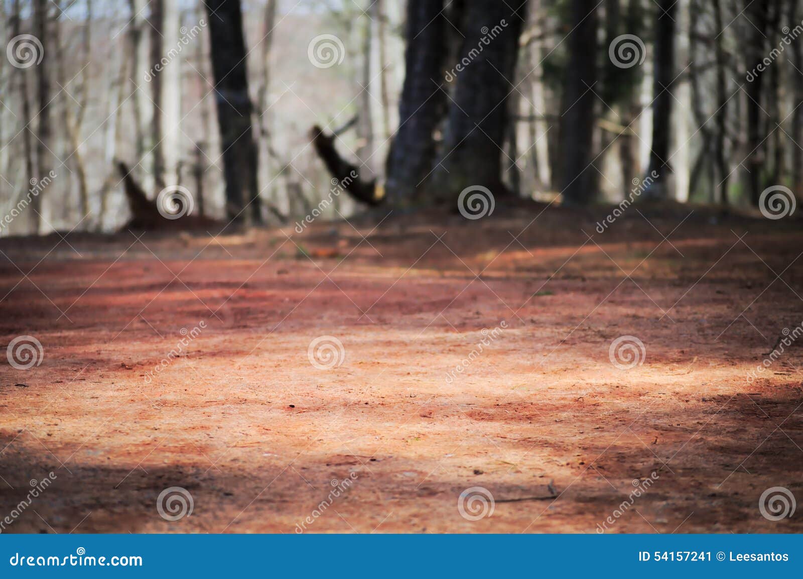 Barren Red Earth with Broken Trees Stock Image - Image of shade, broken ...