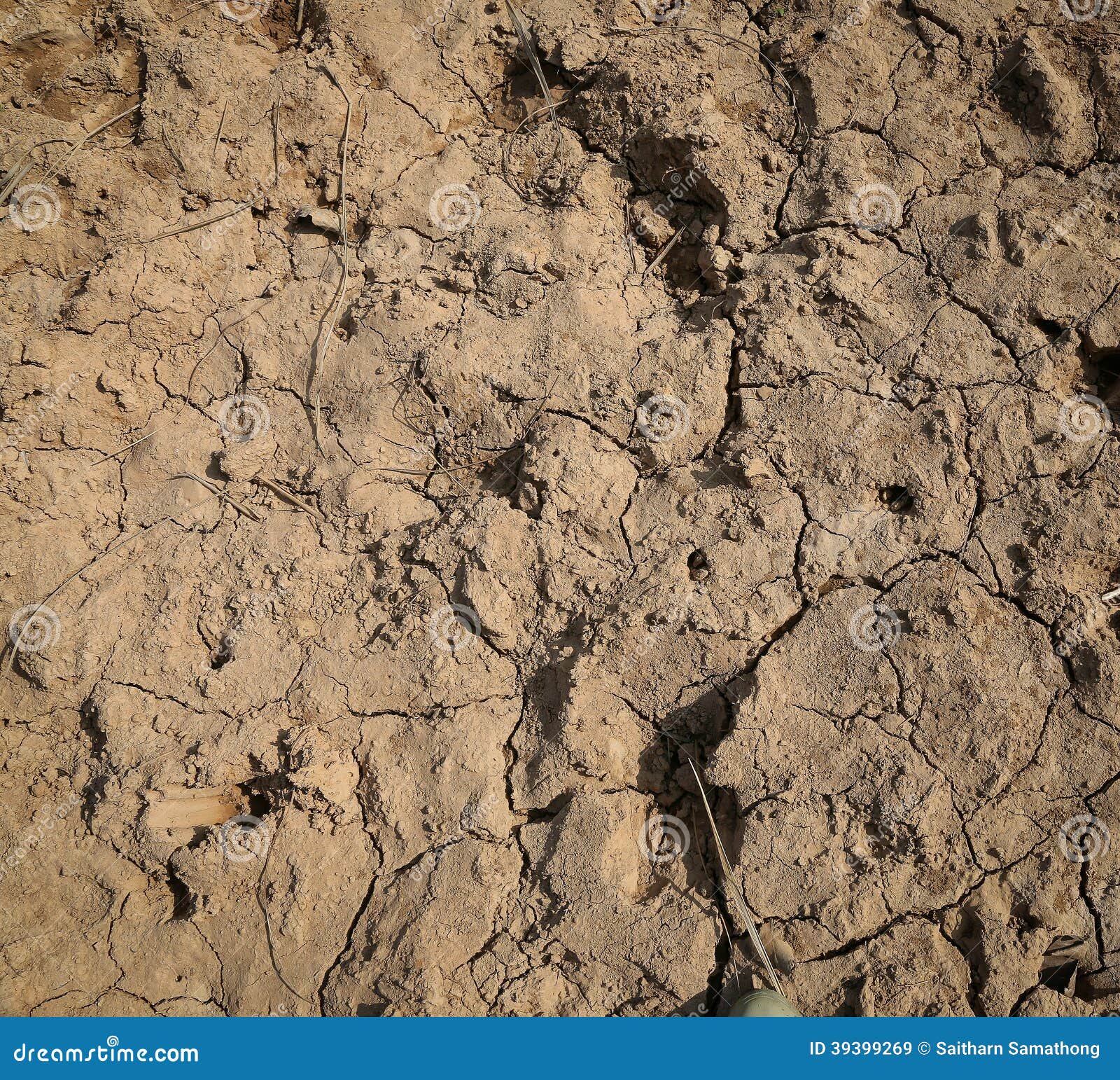 Barren soil stock image. Image of environment, textures - 39399269