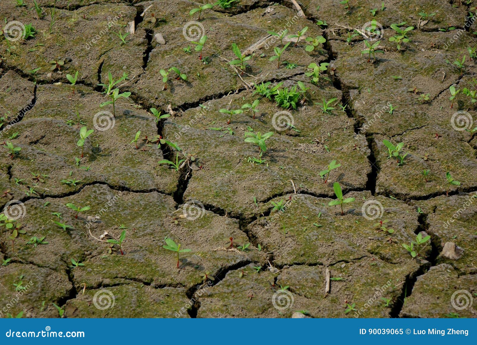Barren soil stock image. Image of broken, clay, earth - 90039065
