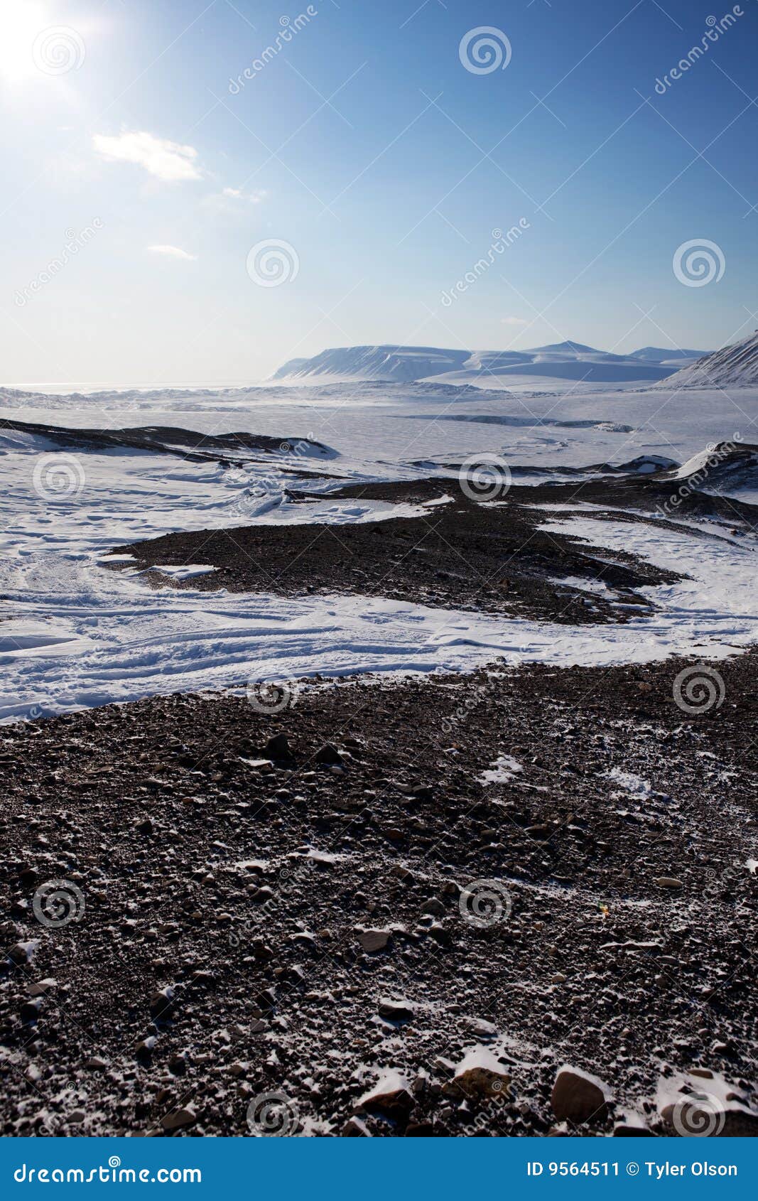 Barren Winter Landscape stock image. Image of climate - 9564511