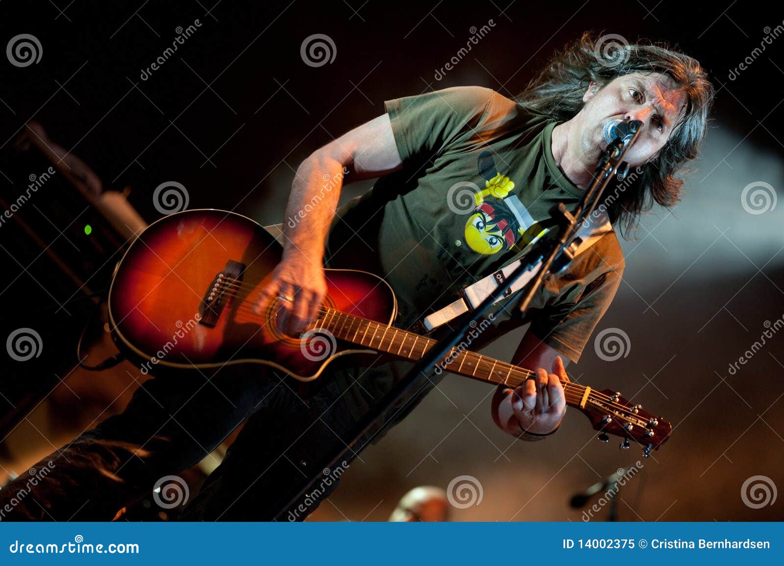 Barricada editorial image. Image of entertainment, barricada - 14002375