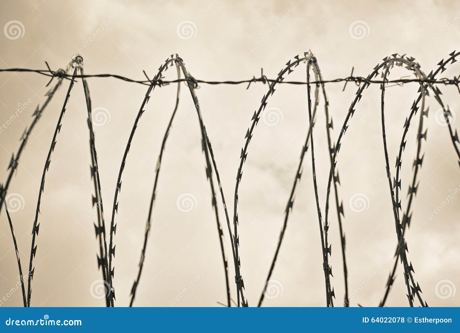 Barricade Single Steel Wire at Day Stock Photo - Image of barricade ...
