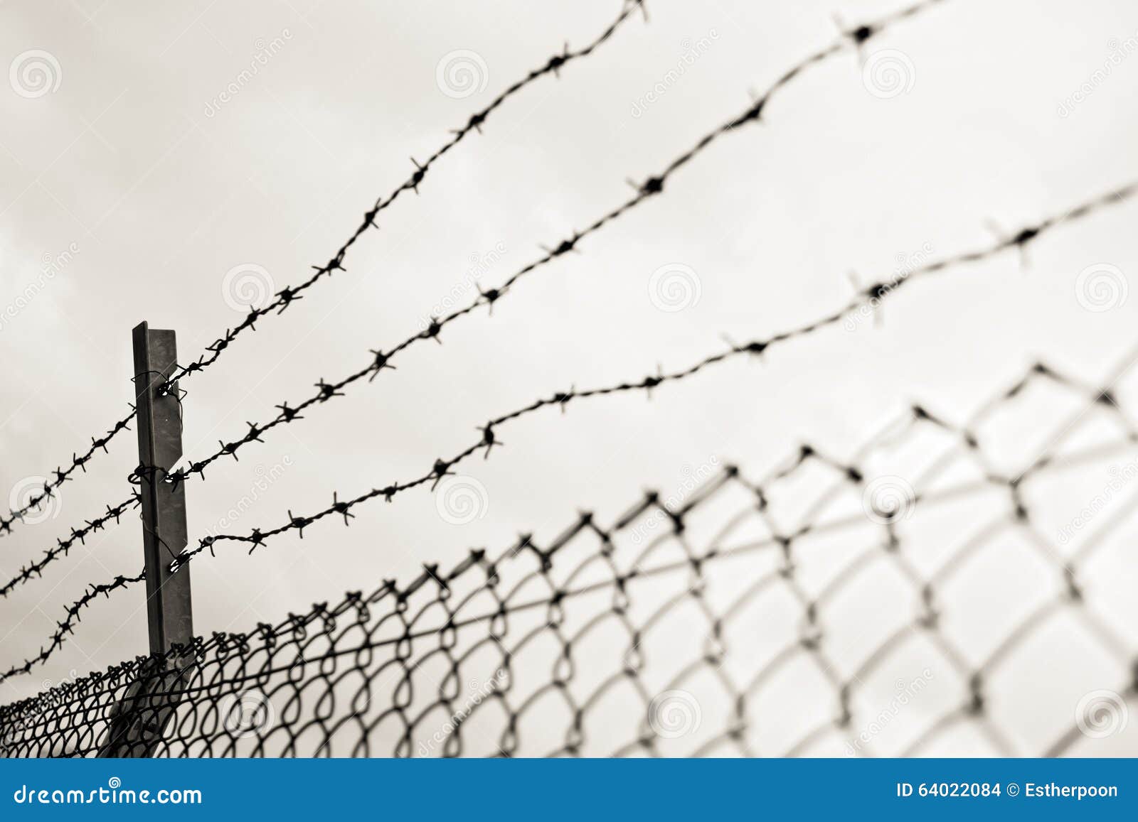 Barricade Single Steel Wire at Day Stock Photo - Image of background ...