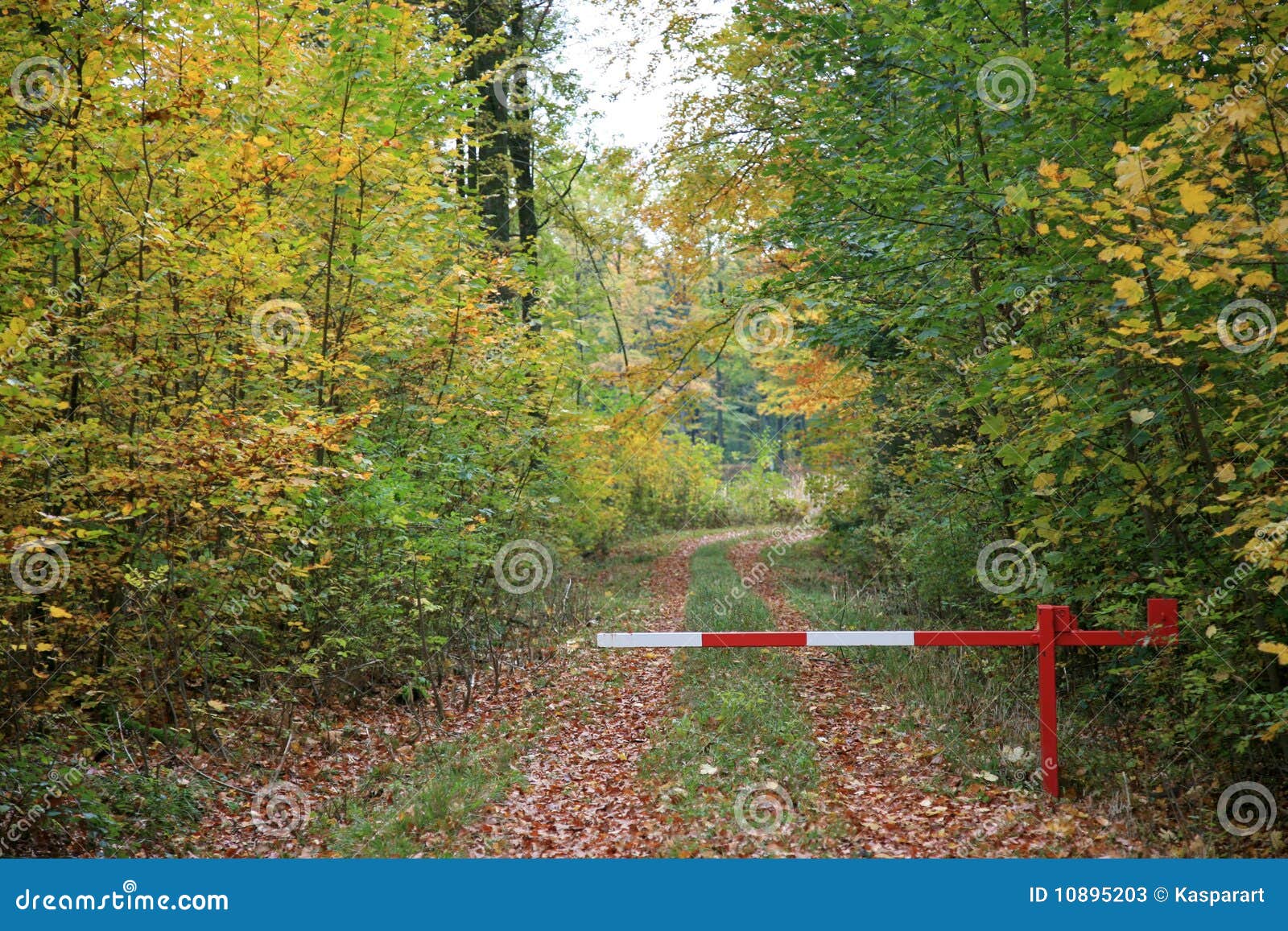 Barrier in the forest stock image. Image of barrier, green - 10895203