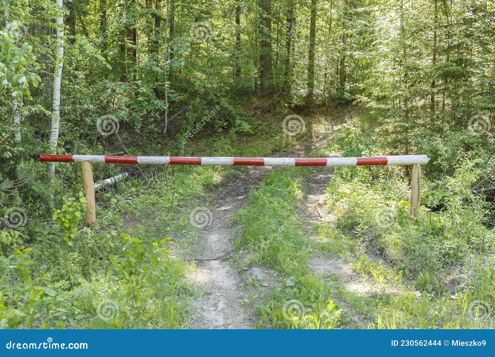 Barrier in the forest stock photo. Image of rural, security - 230562444