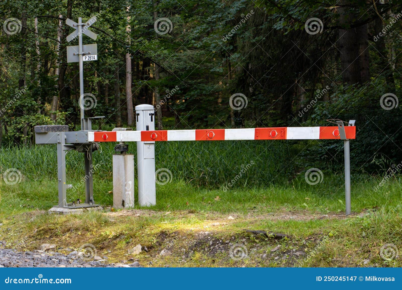 A Barrier before Forest Path beside a Tracks Stock Image - Image of ...
