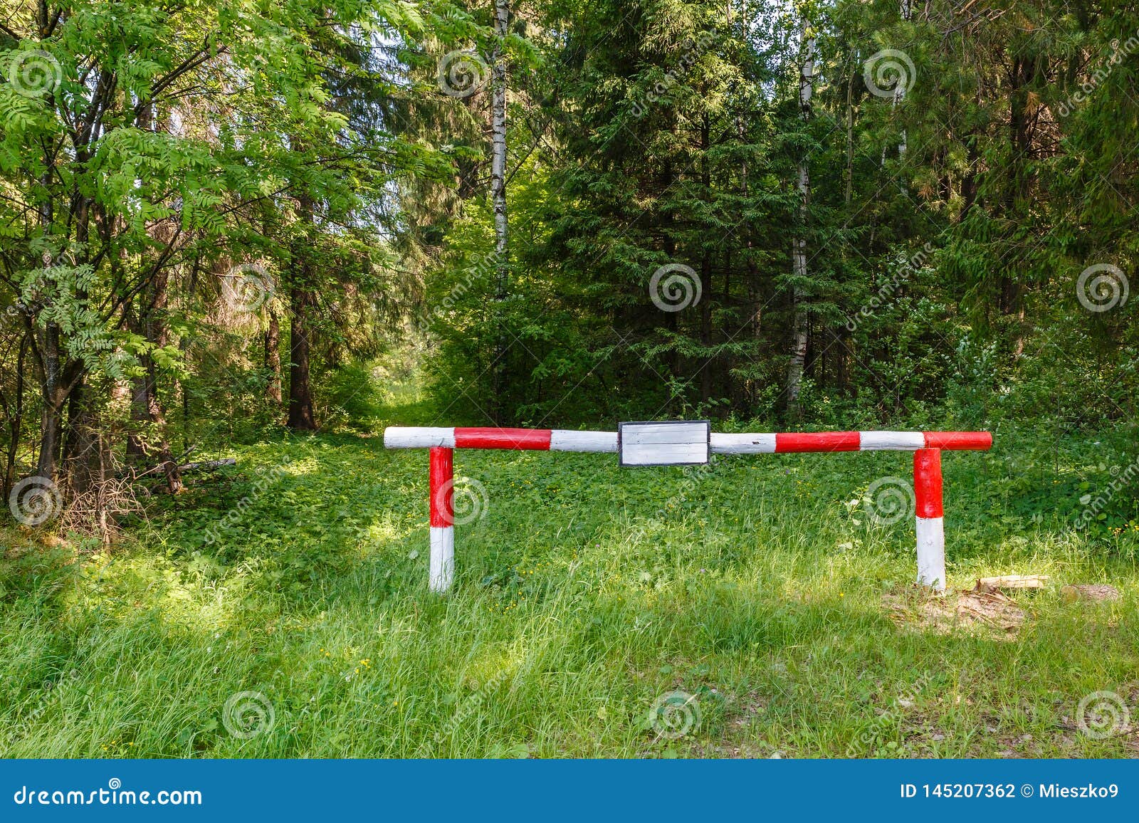 Barrier on the forest road stock photo. Image of construction - 145207362