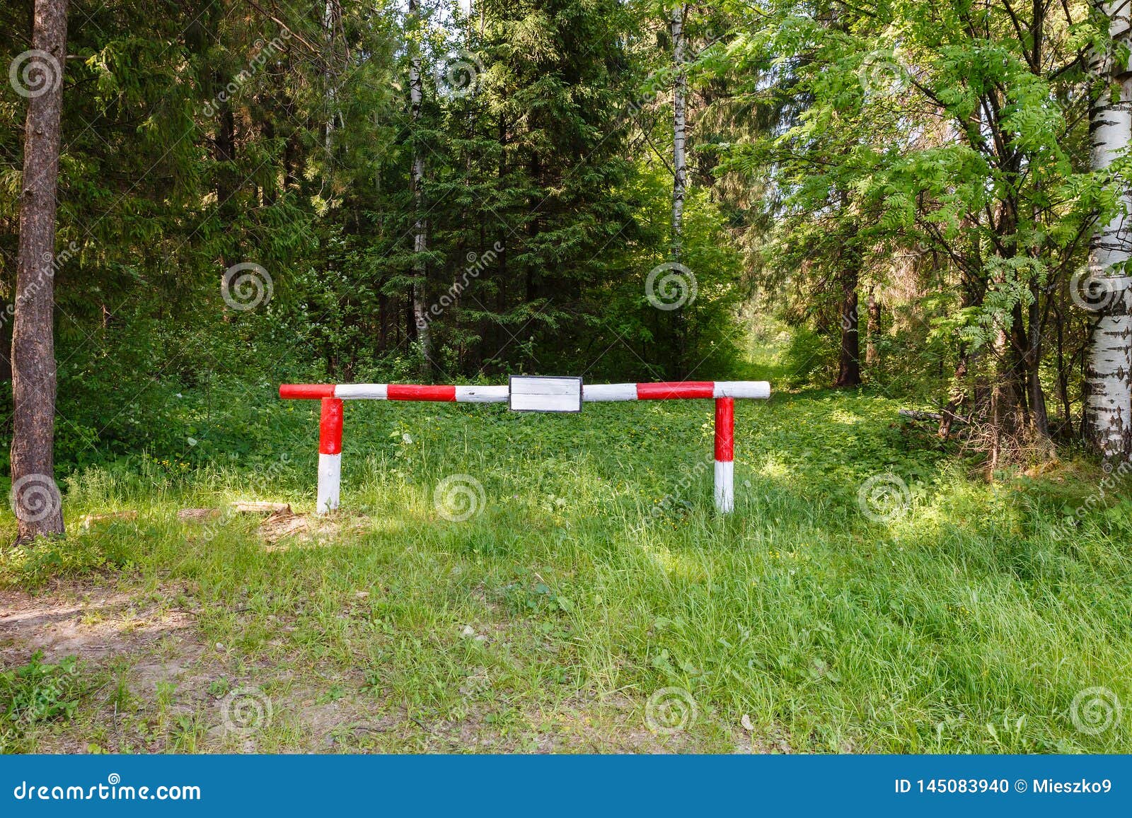 Barrier in the forrest stock photo. Image of park, forest - 145083940