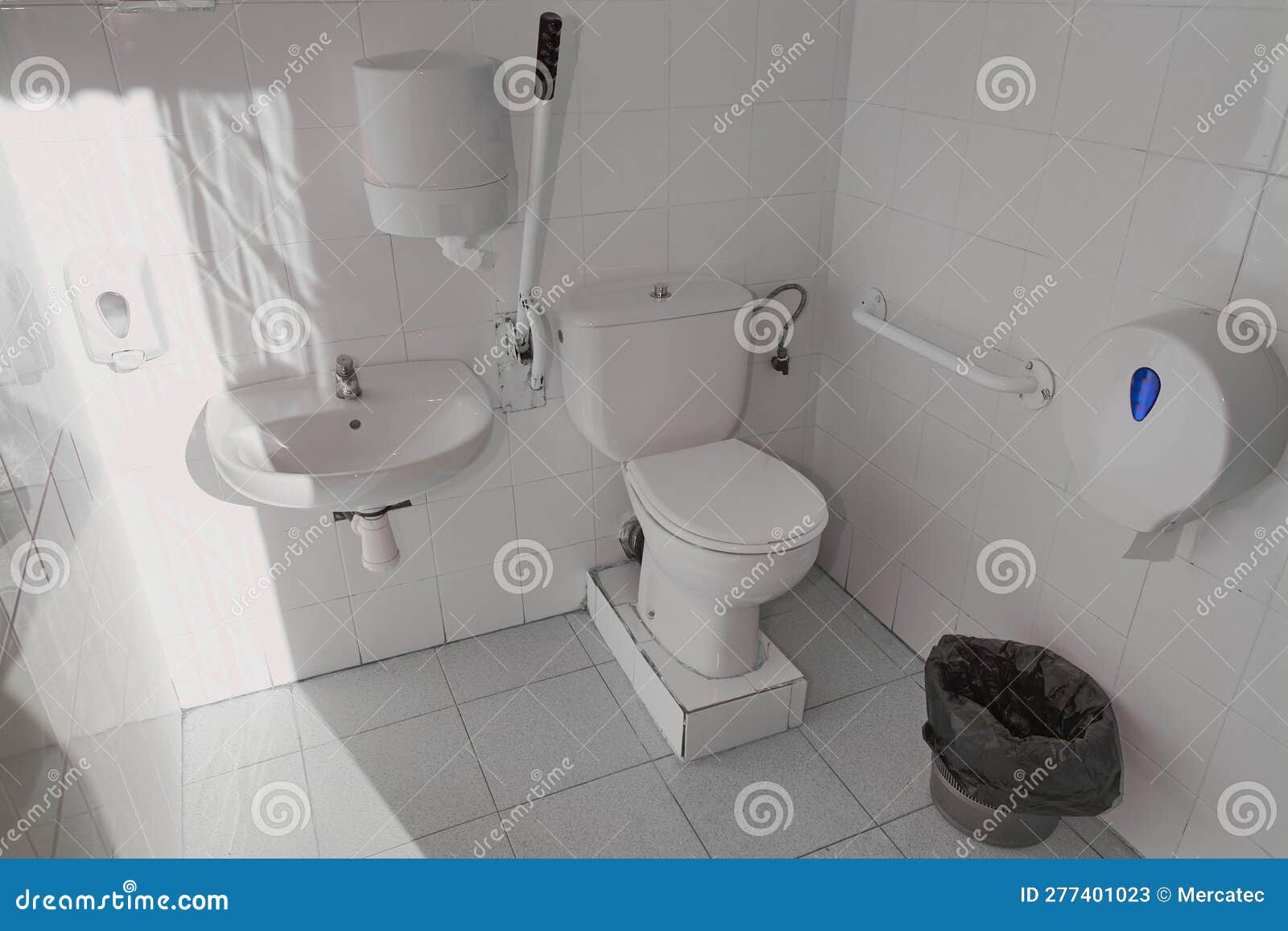 Barrier-Free Accessibility: a Bathroom for People with Disabilities ...