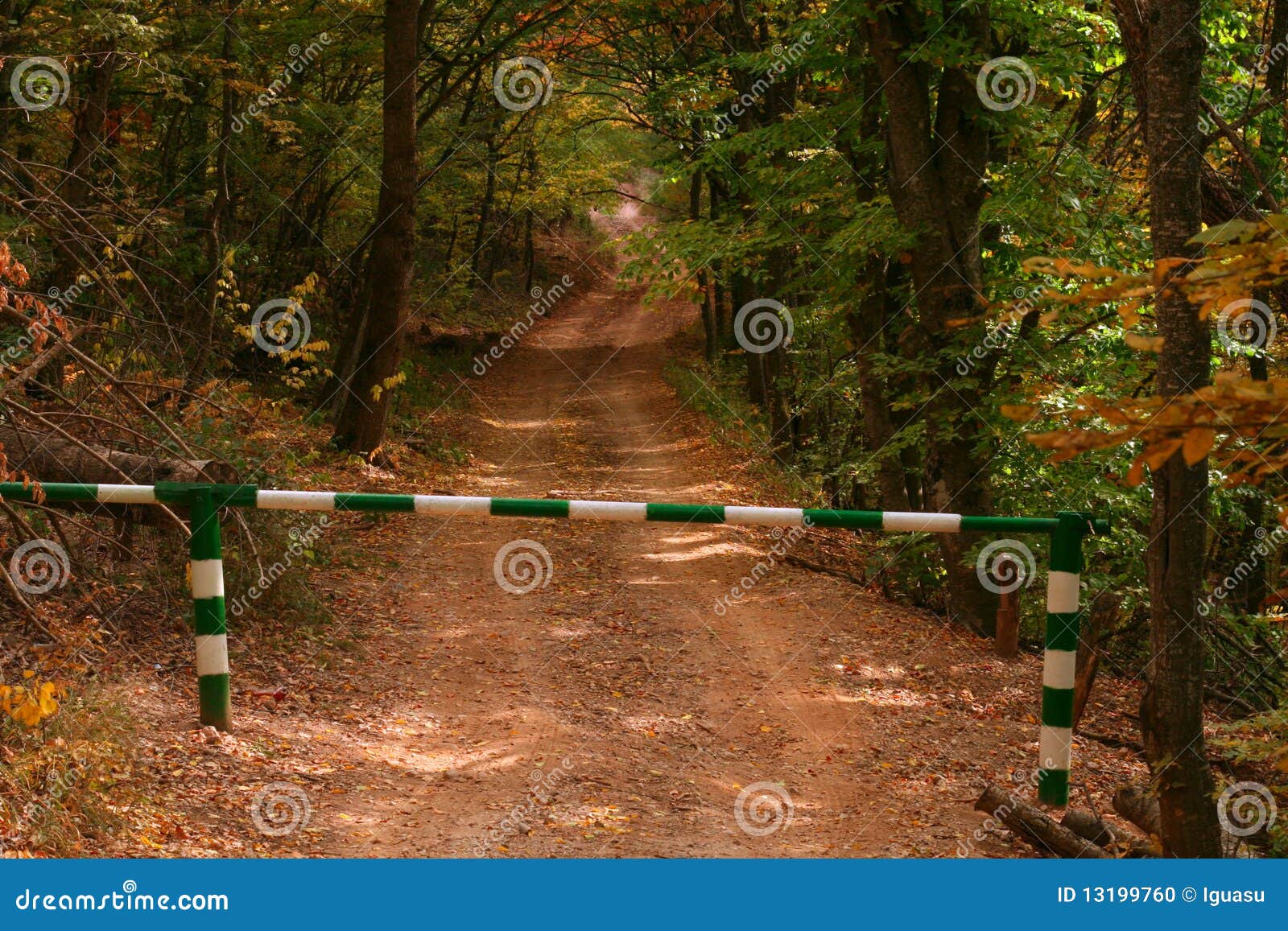 Barrier on Road in Autumn Forest Stock Photo - Image of security, wood ...