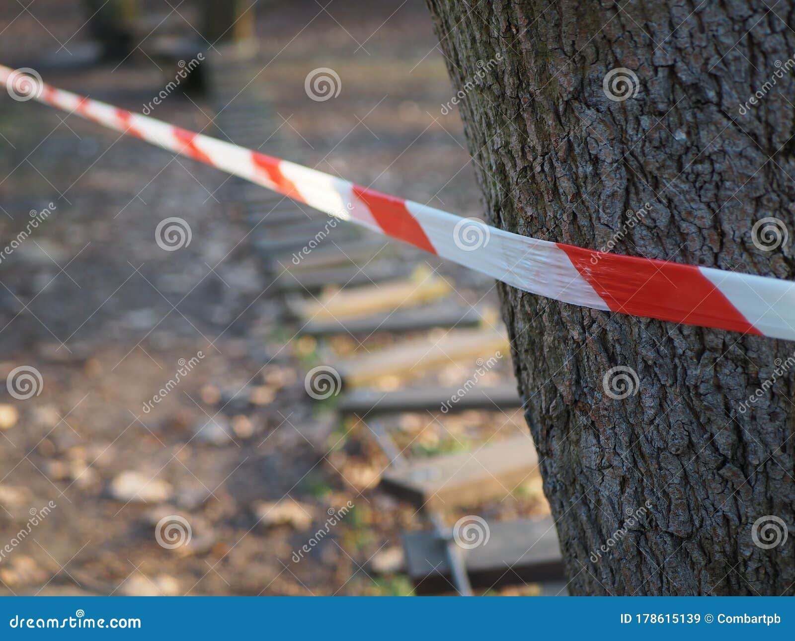 Barrier Tape, Warning Red and White Around the Tree Stock Image - Image ...