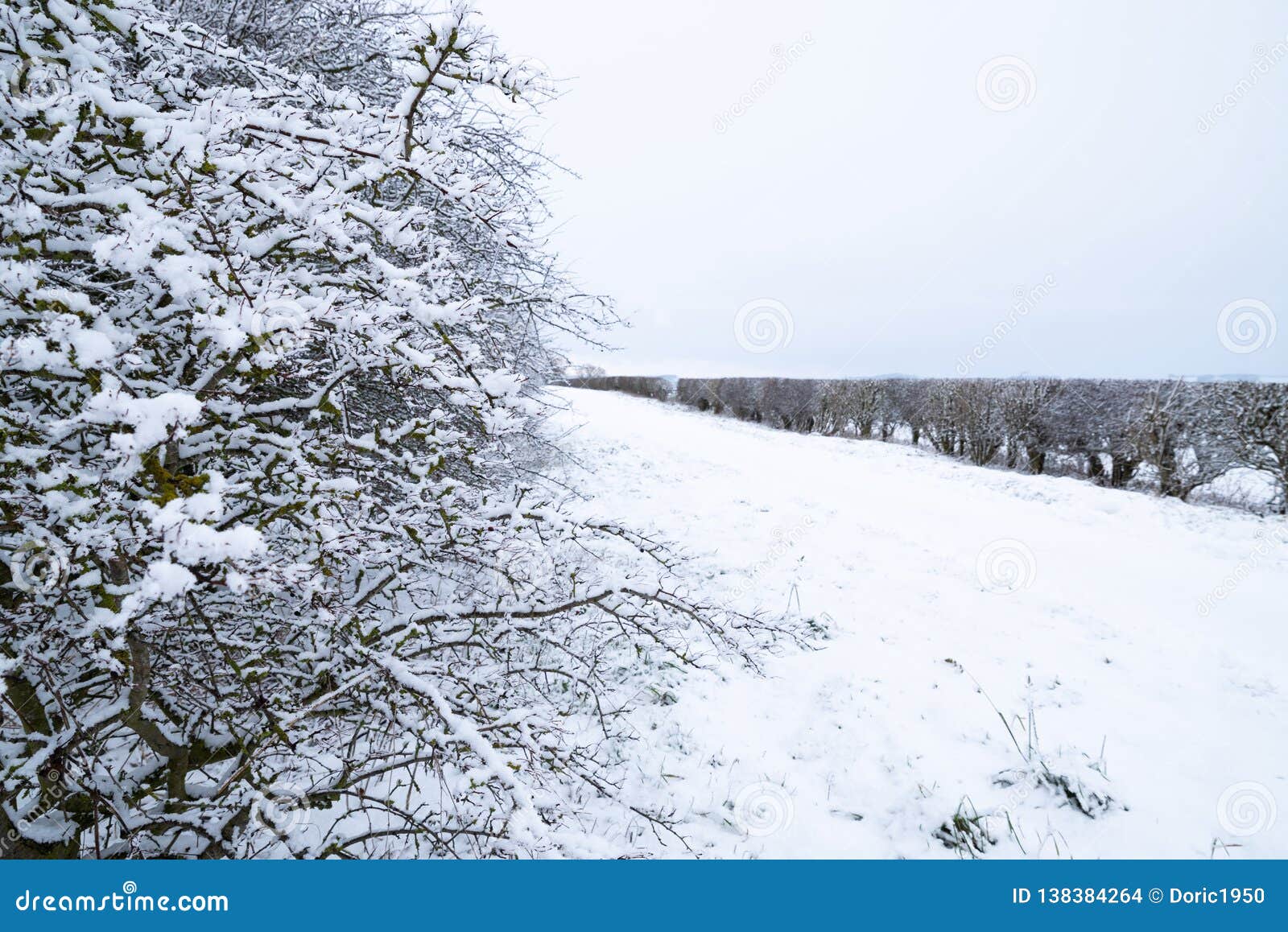 Barriera innevata fotografia stock. Immagine di strada - 138384264