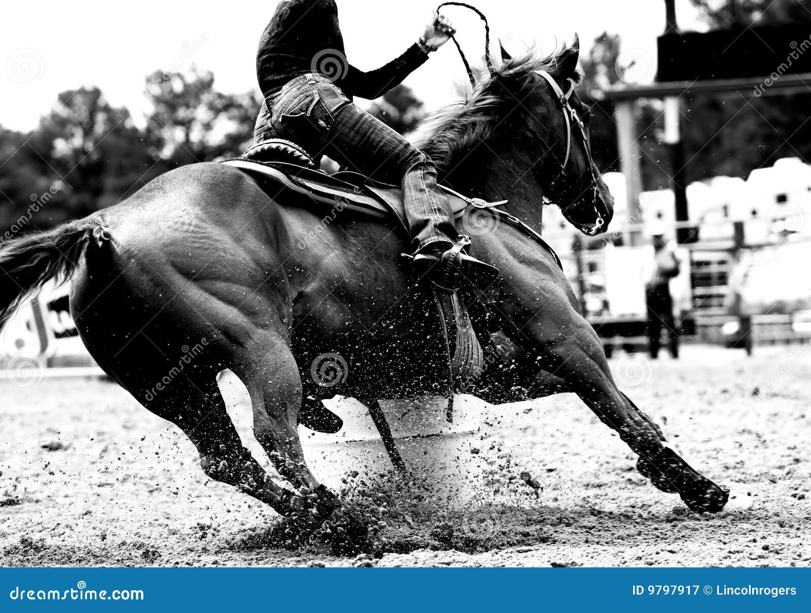 Barril Del Rodeo Que Compite Con El Primer (BW) Imagen de archivo ...