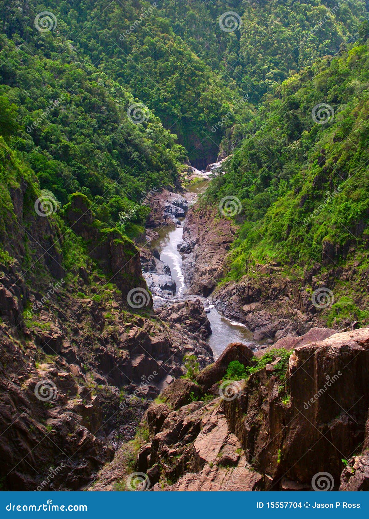 Barron Gorge National Park - Australia Stock Photo - Image of cairns ...