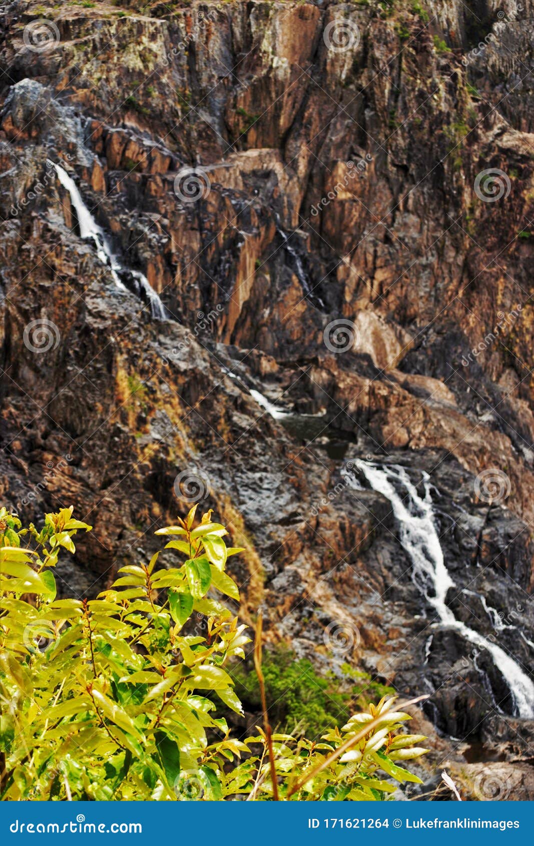 Barron River Waterfall and Gorge Stock Photo - Image of vegetation ...