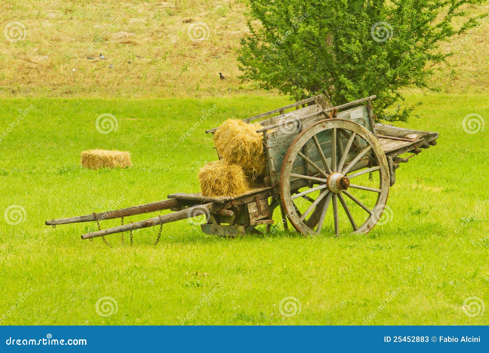 Barrow stock image. Image of farming, harvest, baby, agricultural ...