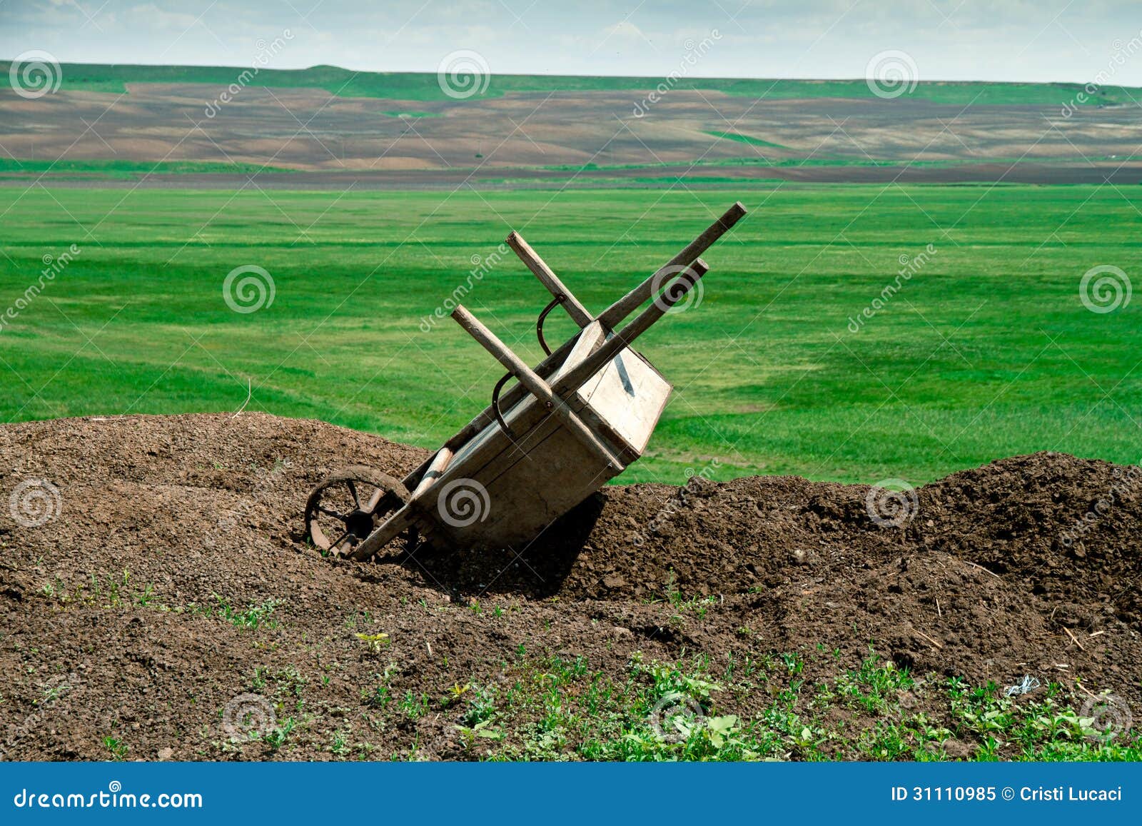 Barrow stock image. Image of green, fence, field, horticulture - 31110985