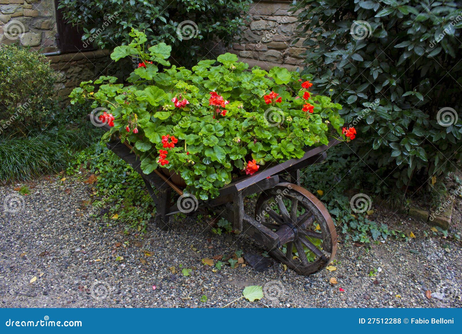 Barrow of Roses stock photo. Image of barrel, equipment - 27512288