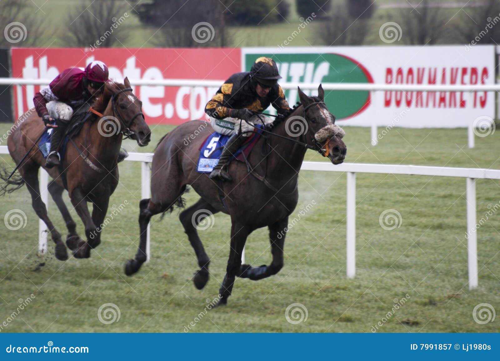Barry Geraghty and Roberto Goldback Editorial Photography - Image of ...