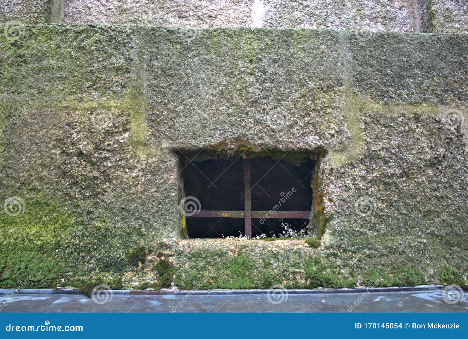 Bars on a Basement Window stock photo. Image of metal - 170145054