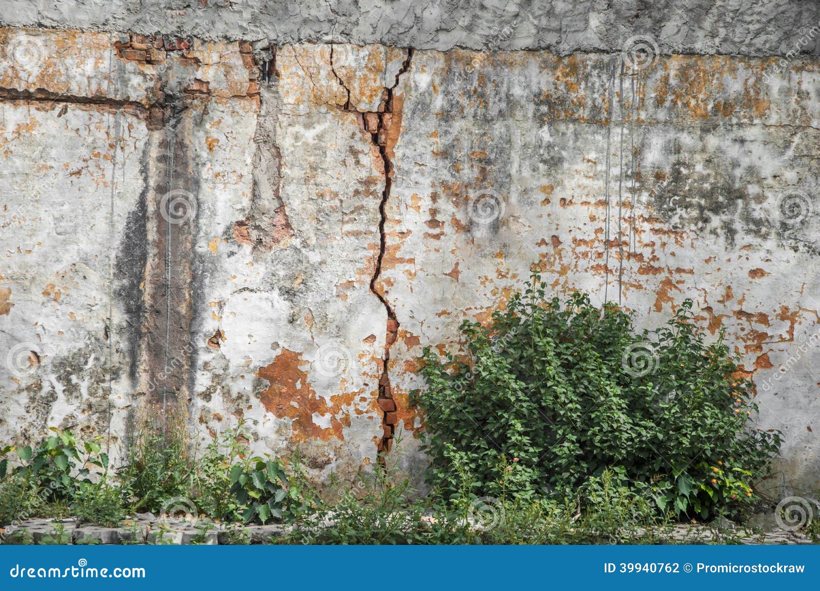 Barst in De Muur En De Groene Installaties Stock Foto - Image of vast ...