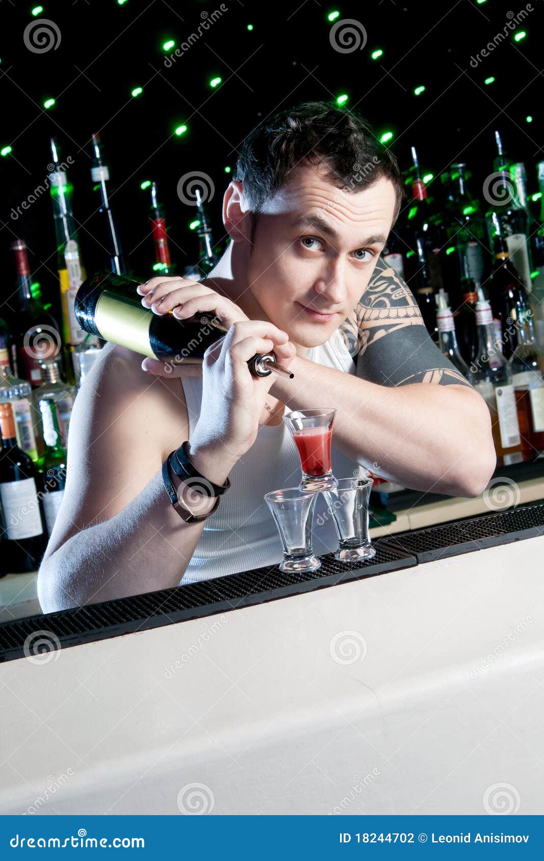 Bartender stock photo. Image of barkeeper, indoors, looking - 18244702