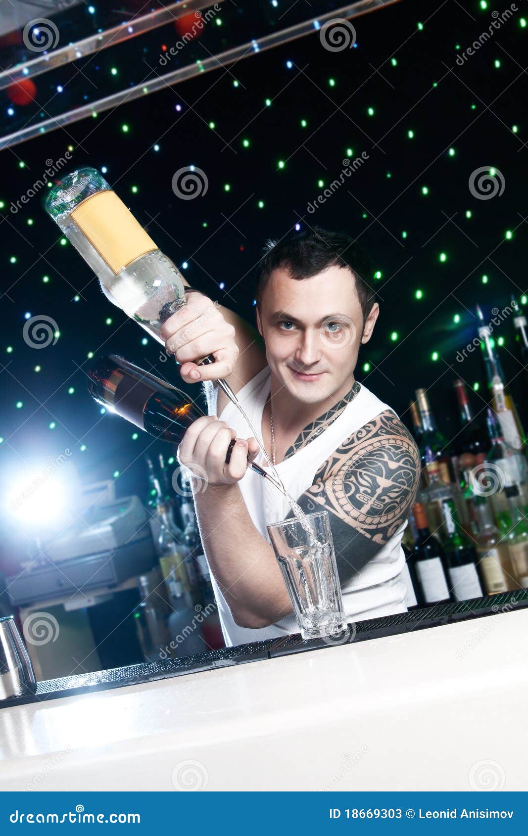 Bartender stock image. Image of portrait, person, adult - 18669303