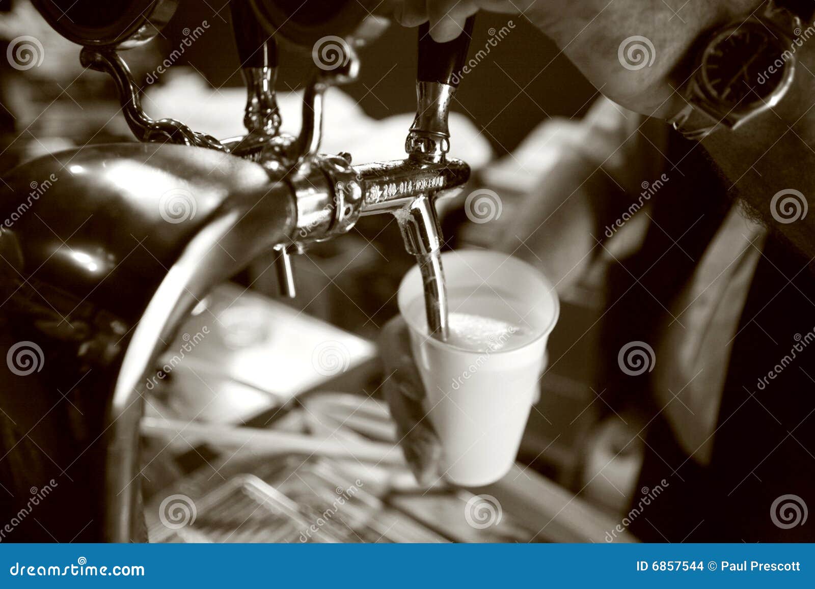 Bartender stock photo. Image of barman, person, bartender - 6857544