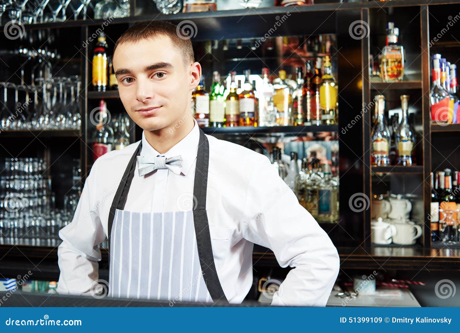 Bartender at bar stock image. Image of male, leisure - 51399109