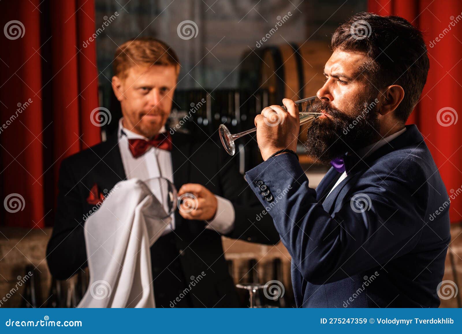 Bartender at Counter. Alcohol Serving. Communication with Customers ...