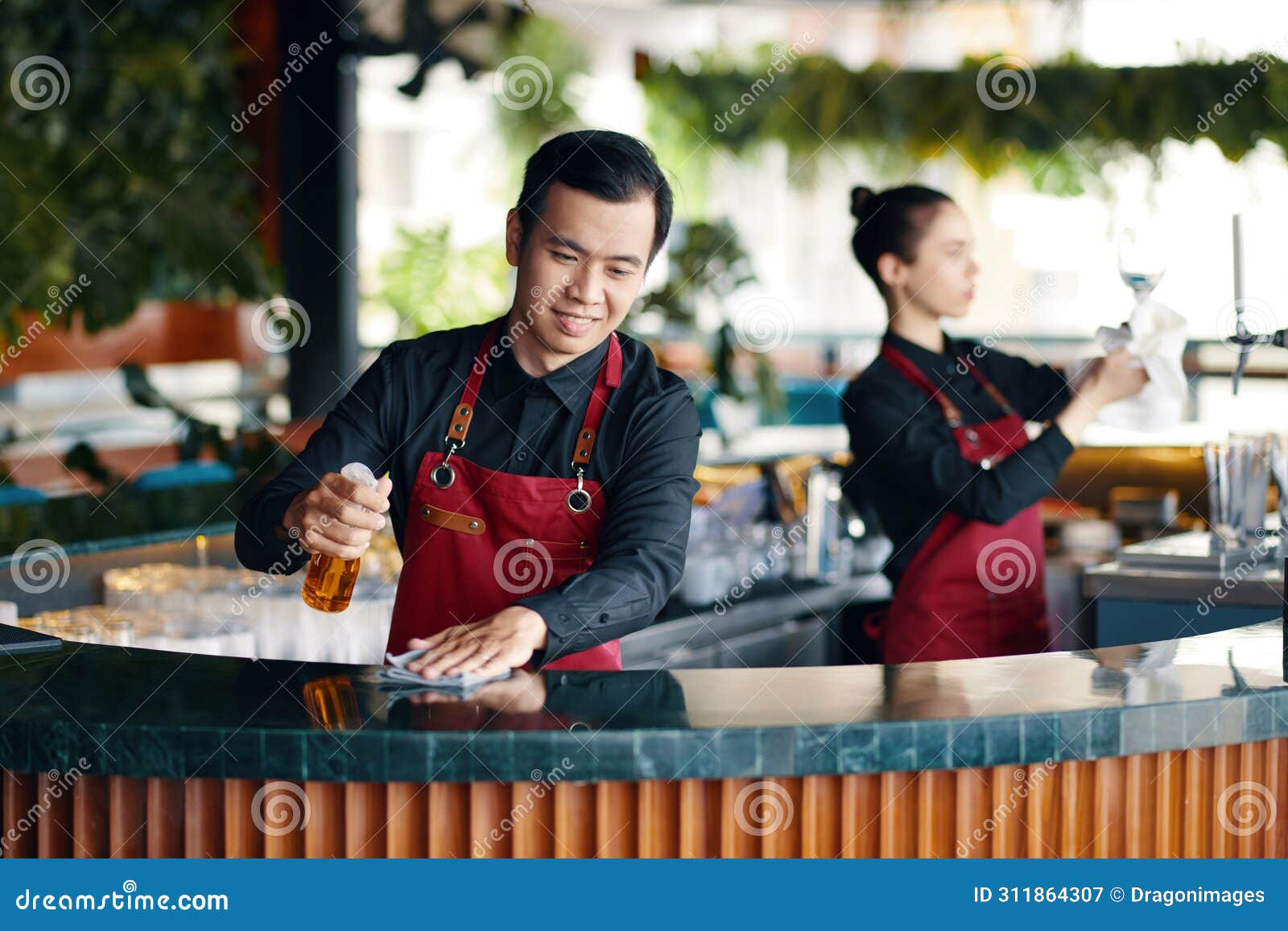 Bartender Wiping Bar Counter Stock Image - Image of wipe, party: 311864307